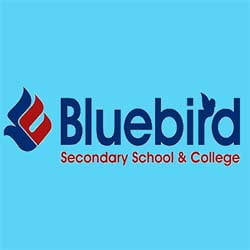 Bluebird College - Courses, Fee Structure, Contact